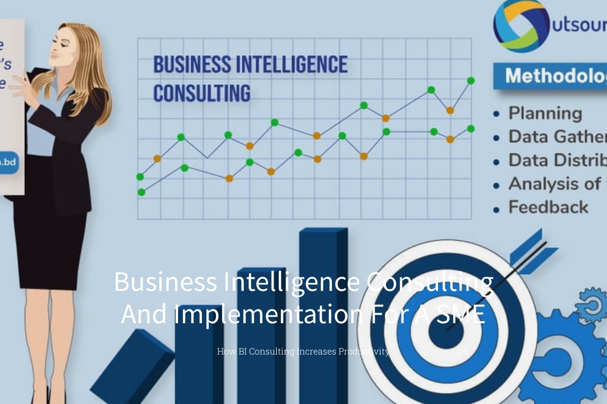 Business Intelligence Consulting And Implementation For A SME