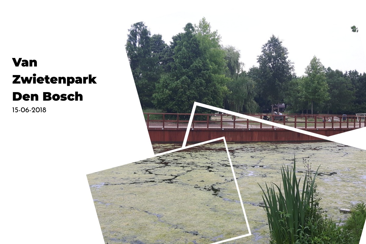 Van Zwietenpark Den Bosch