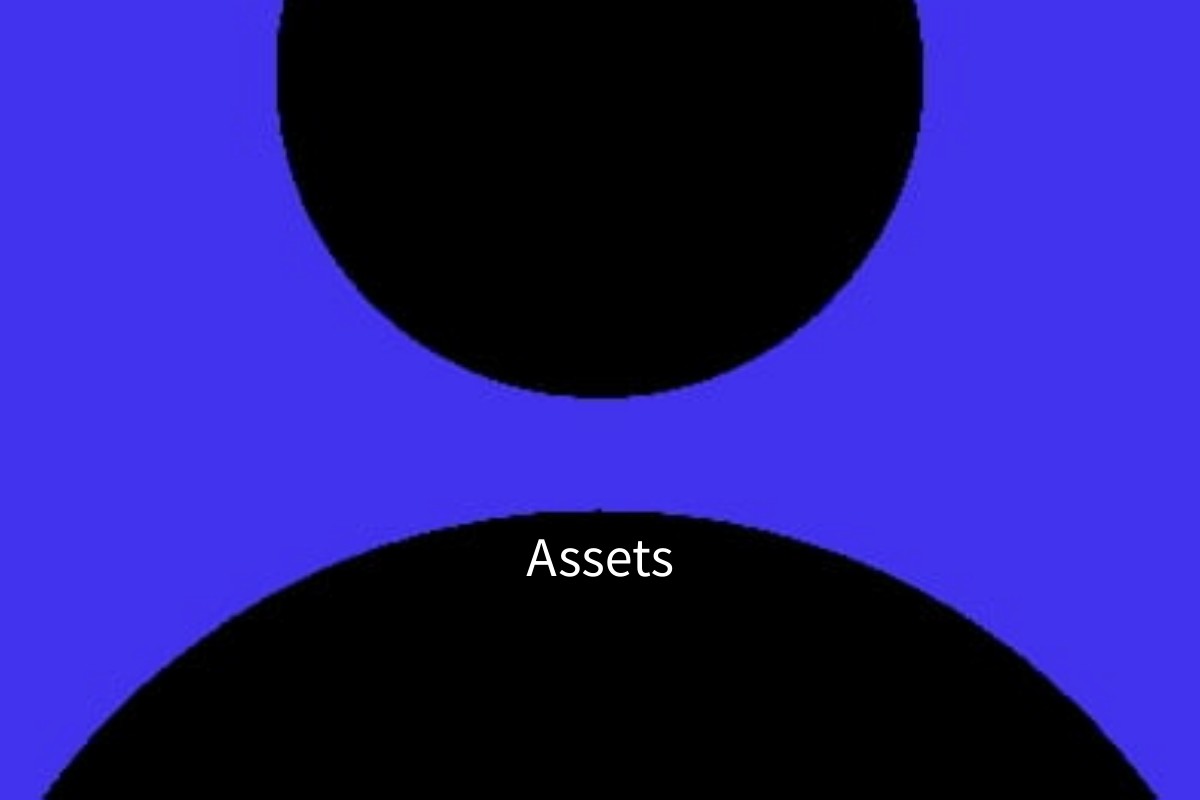 Assets