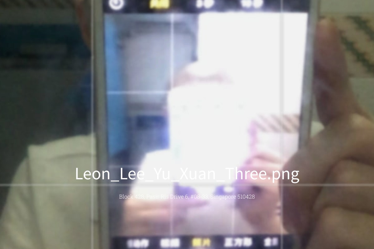 Leon_Lee_Yu_Xuan_Three.png