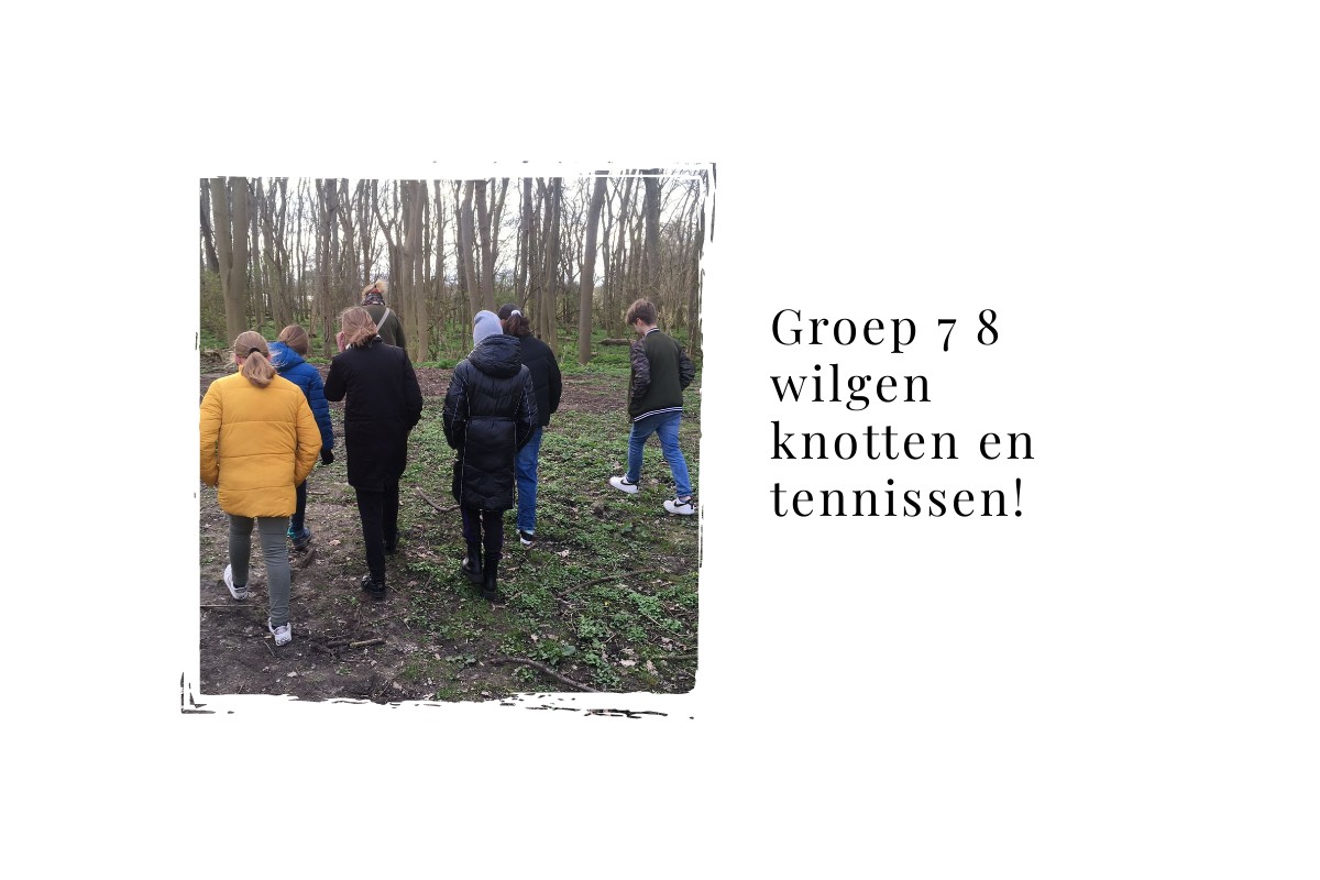 Groep 7 8 wilgen knotten en tennissen!