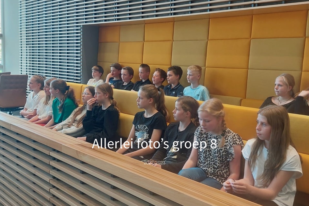 Allerlei foto's groep 8