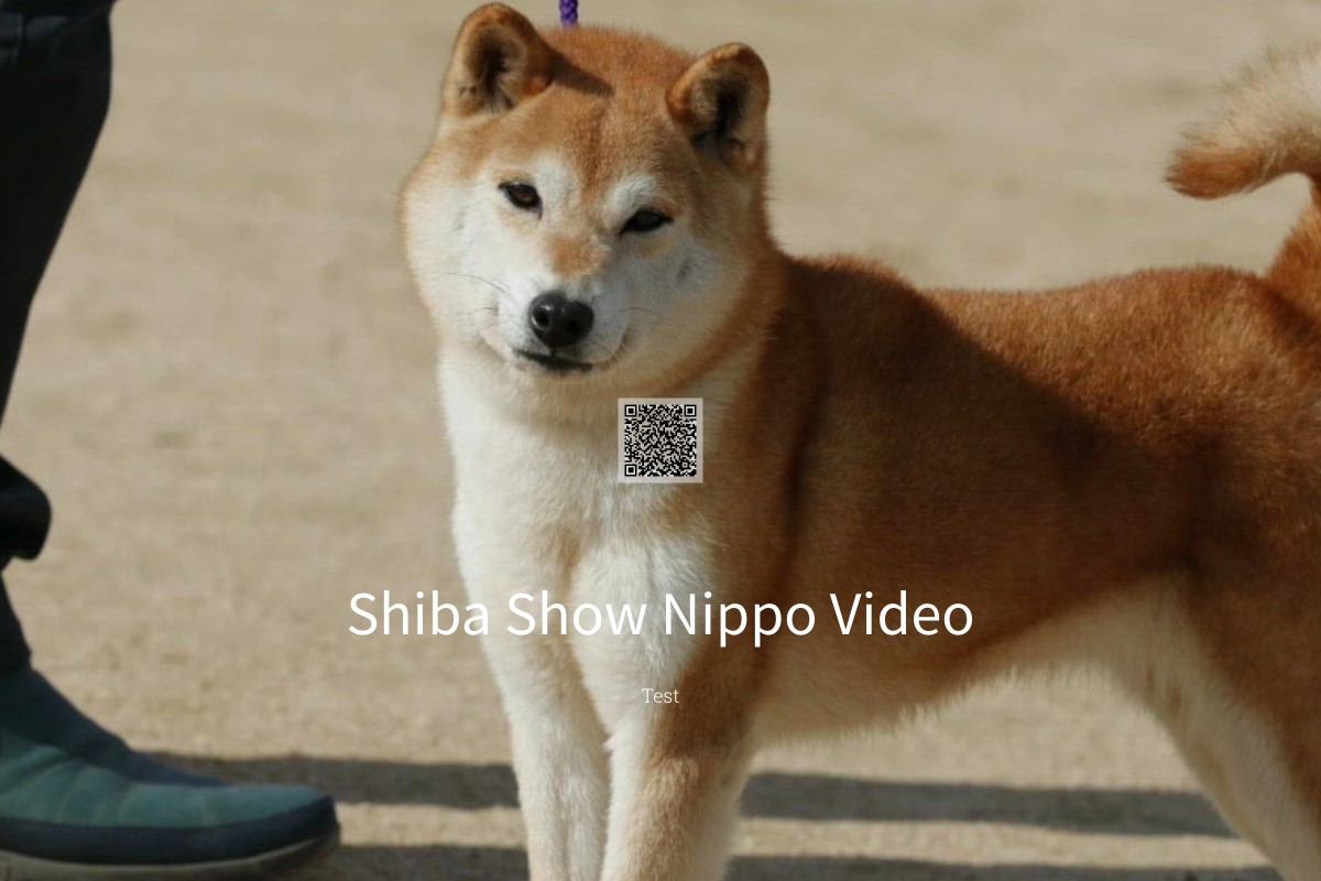 Shiba Show Nippo Video