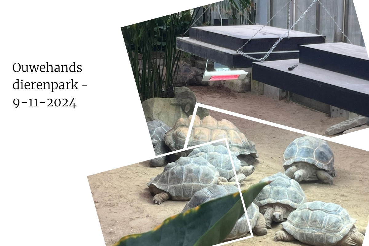 Ouwehands dierenpark - 9-11-2024